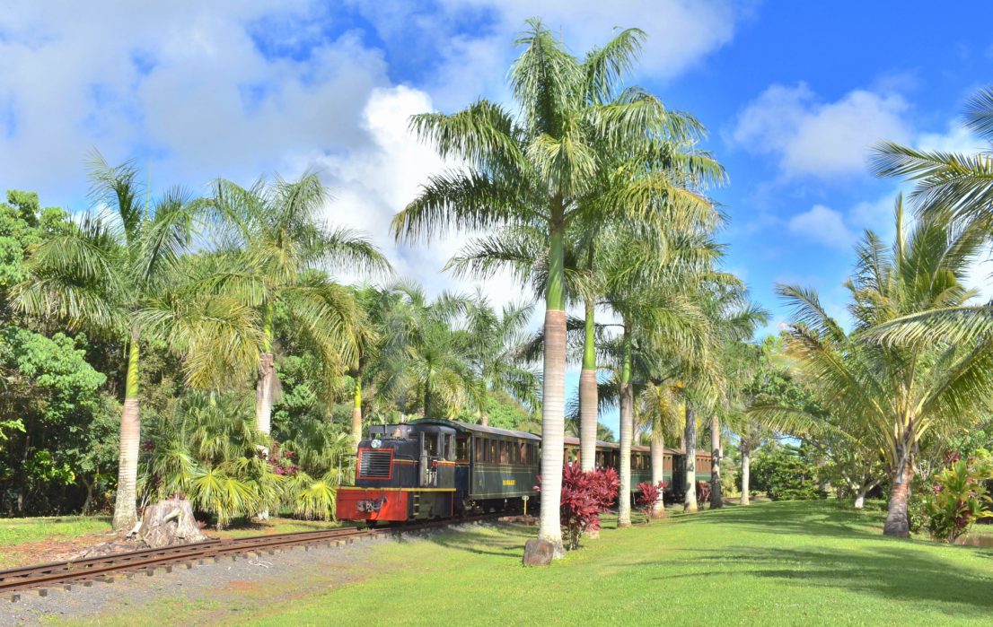 Kauai Train Tour | Kauai Safaris